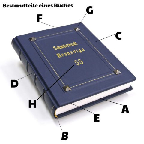Buchs Oder Buches